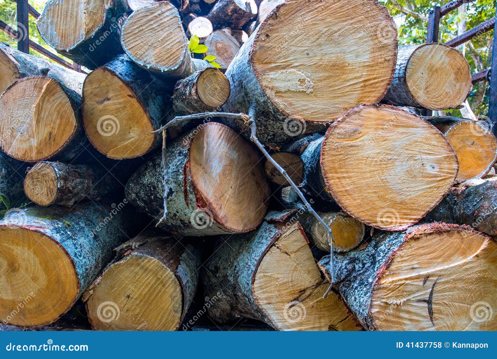 Wood preparation stock photo. Image of harvest, deal - 41437758