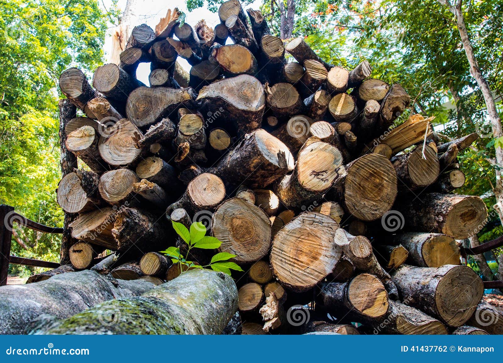 Wood preparation stock photo. Image of camp, landscape - 41437762