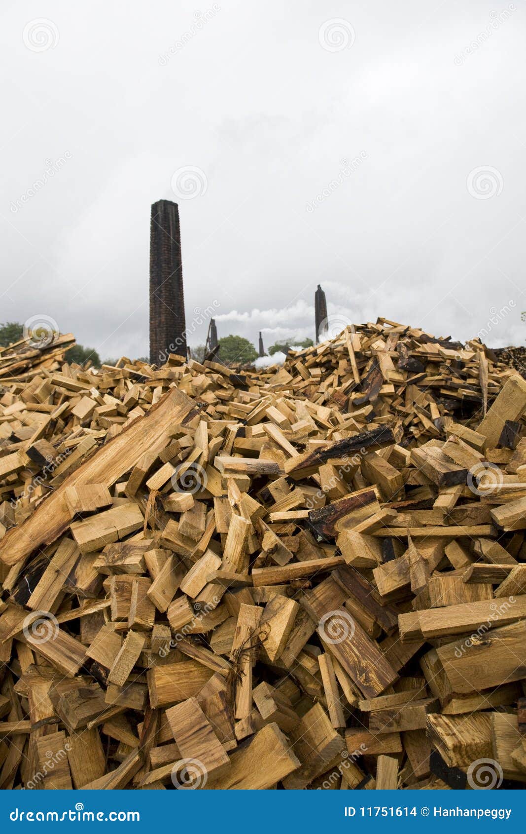 Wood processing factory stock photo. Image of woodpile - 11751614