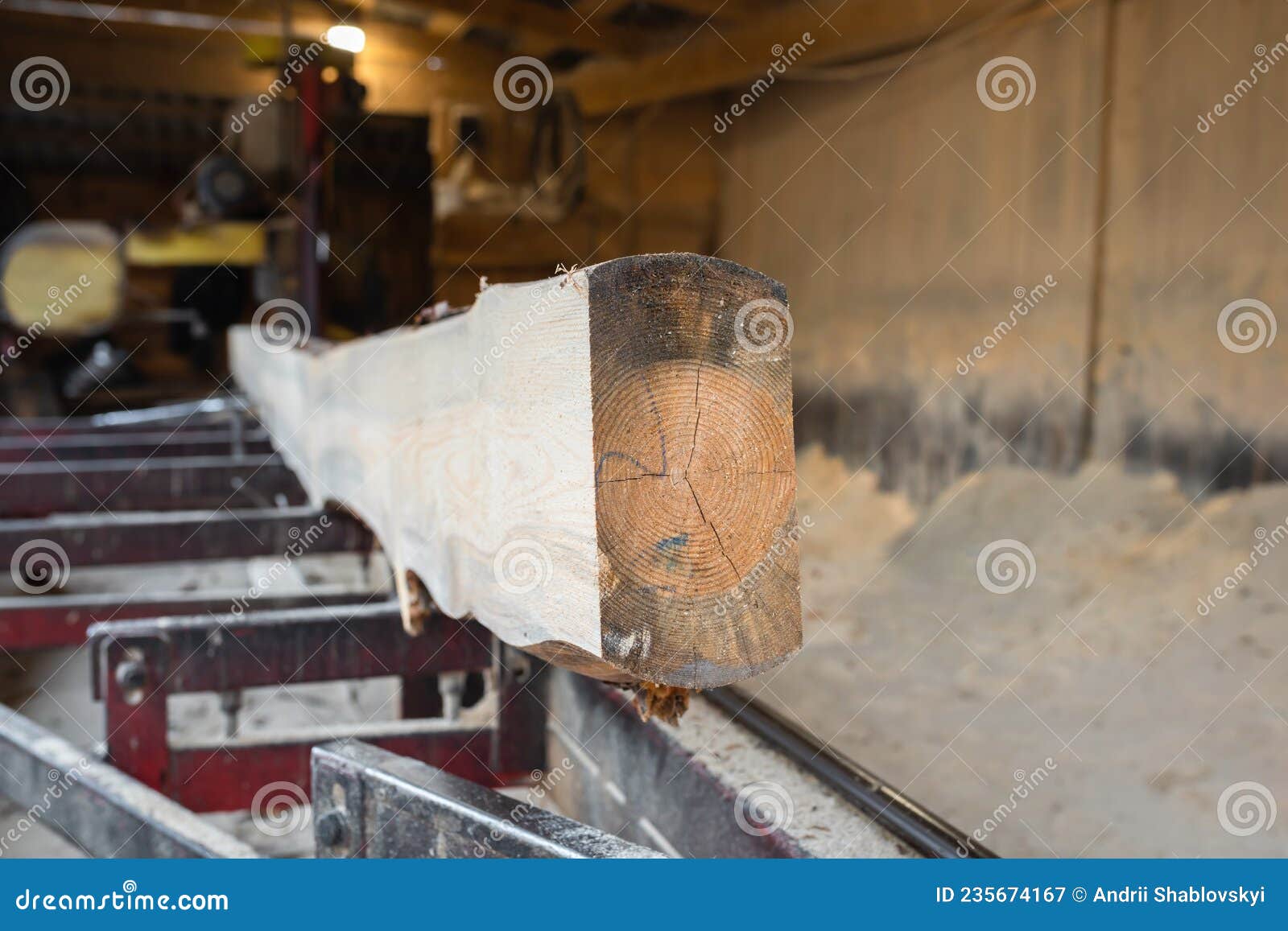 Wood Processing on a Sawmill. Sawing and Drying of Wood Stock Image ...