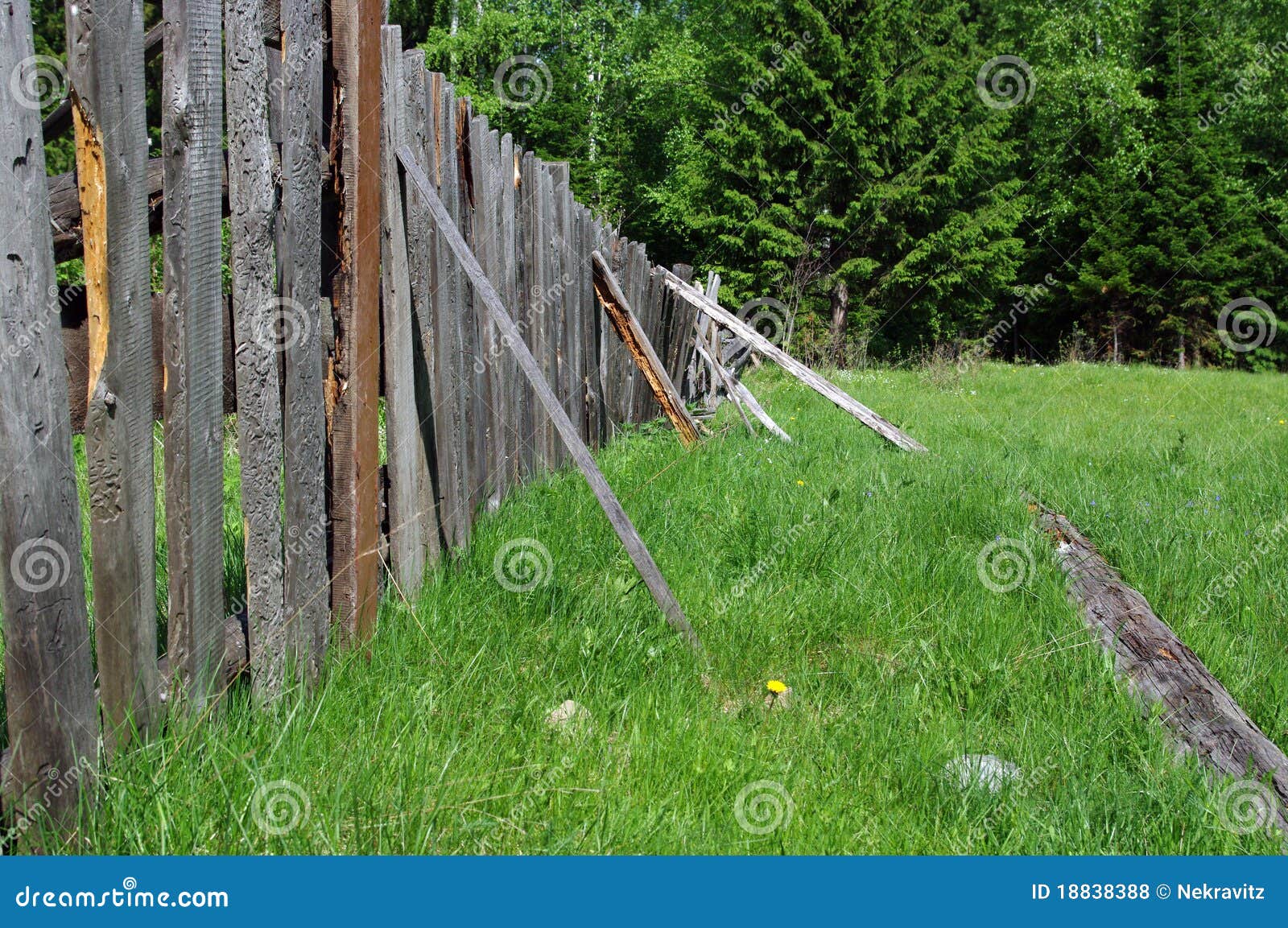 Wood proped up fence stock photo. Image of fence, prop - 18838388