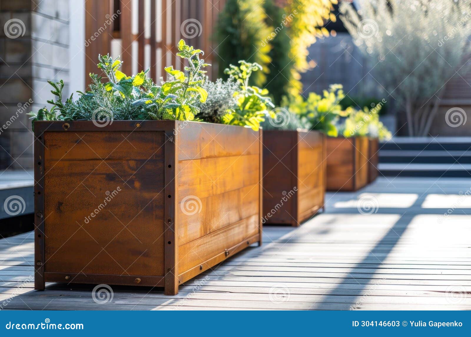 Wood Raised Garden Planters are Shown in the Background Stock ...