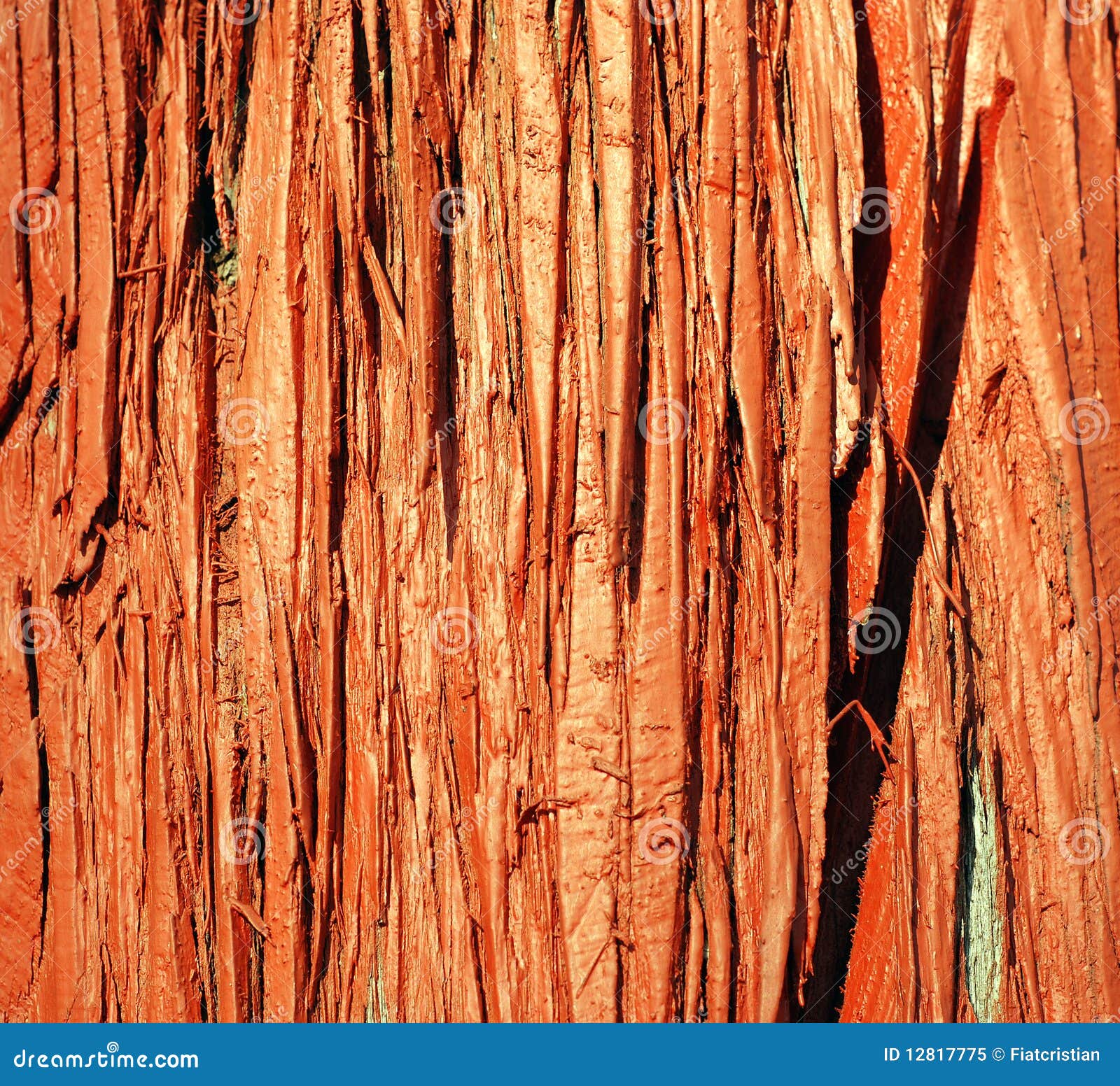 Wood red rind stock image. Image of signed, scan, warrant - 12817775