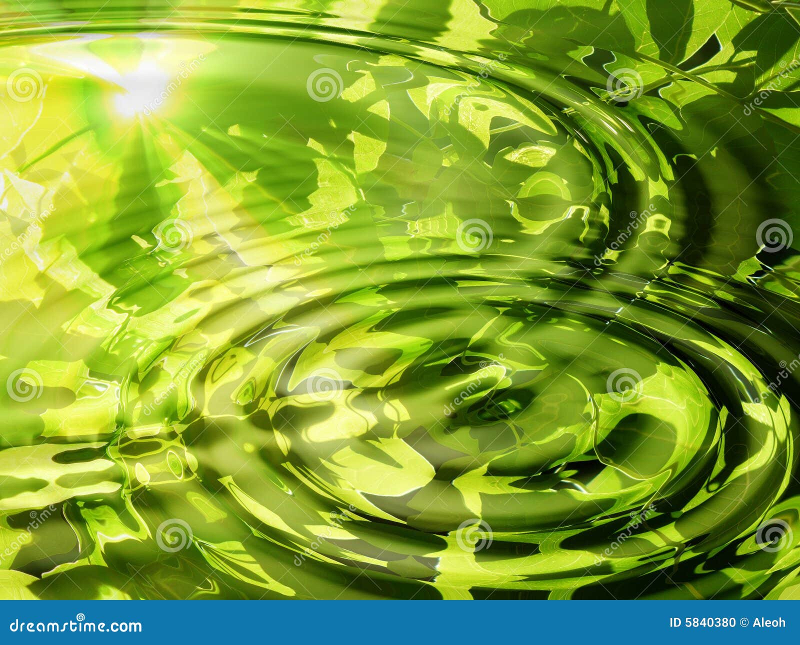 Wood reflected in water stock photo. Image of backlit - 5840380