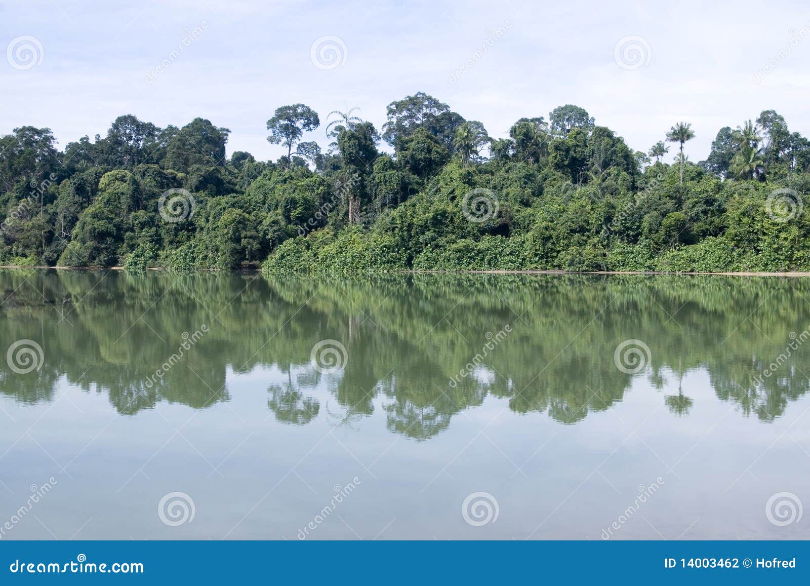 Wood reflection stock photo. Image of outdoor, beautiful - 14003462