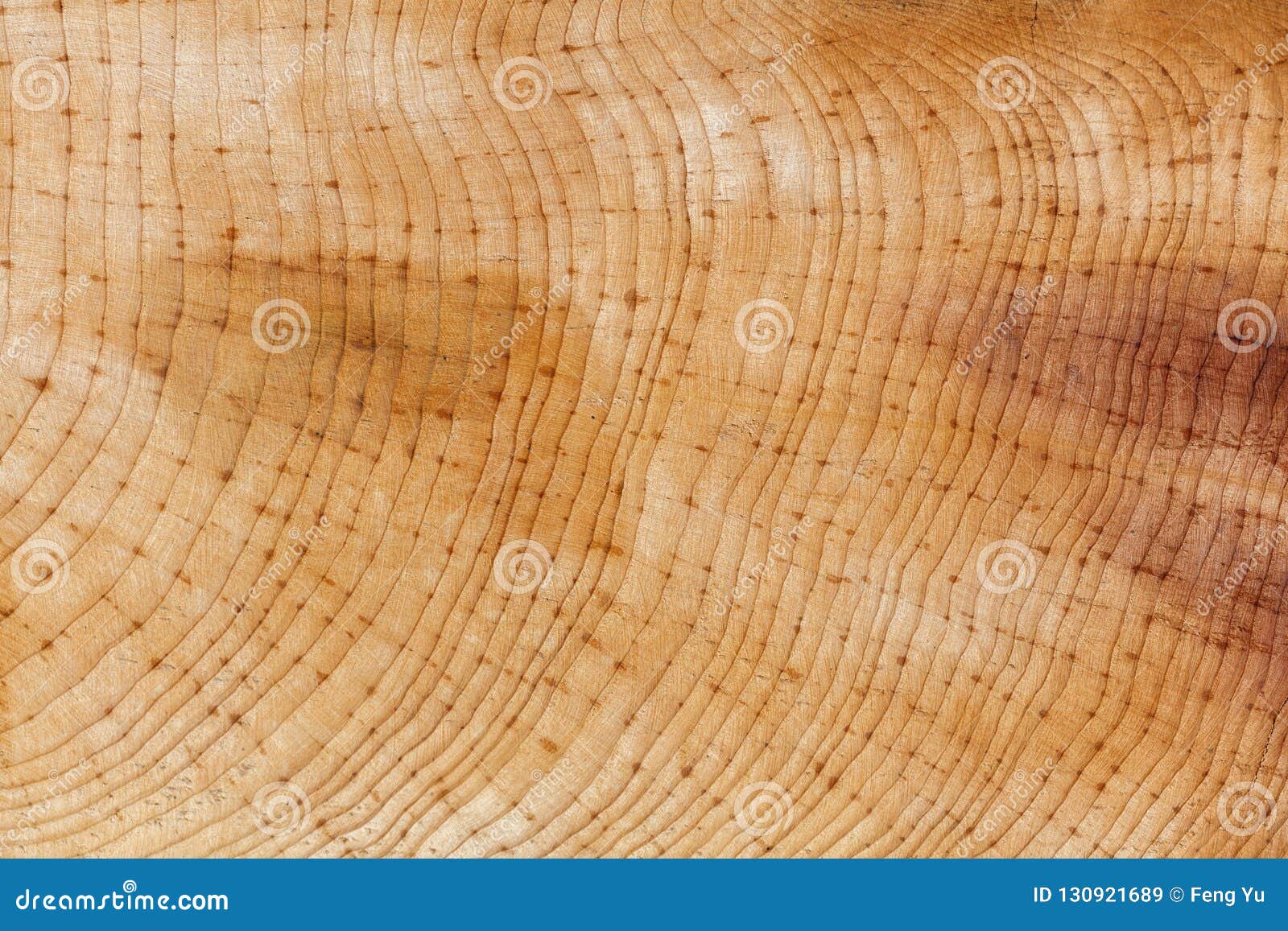 Wood ring texture stock image. Image of tree, aging - 130921689
