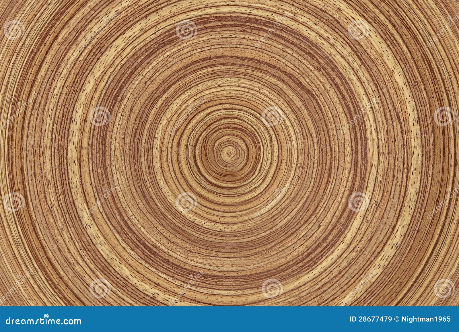 Wood rings stock image. Image of industry, lumber, detail - 28677479