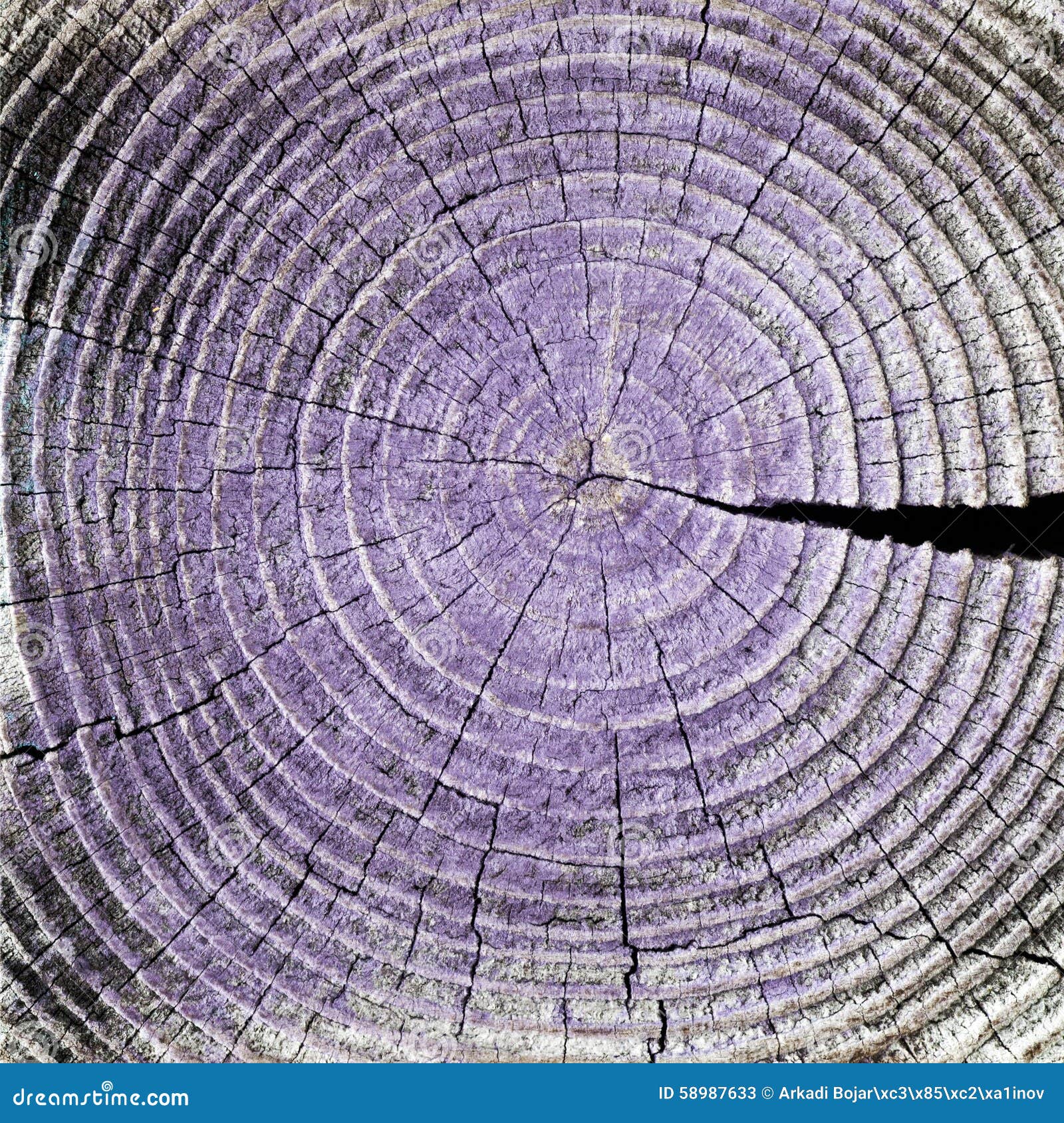 Wood rings stock image. Image of natural, close, annual - 58987633