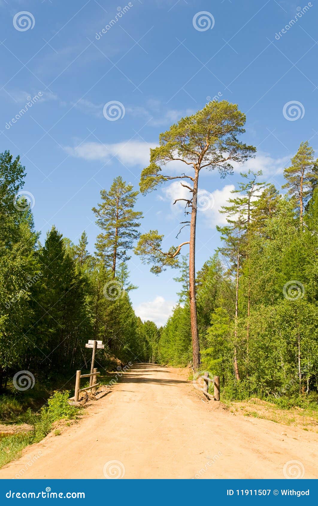 Wood road stock image. Image of earthroad, bridge, dirt - 11911507