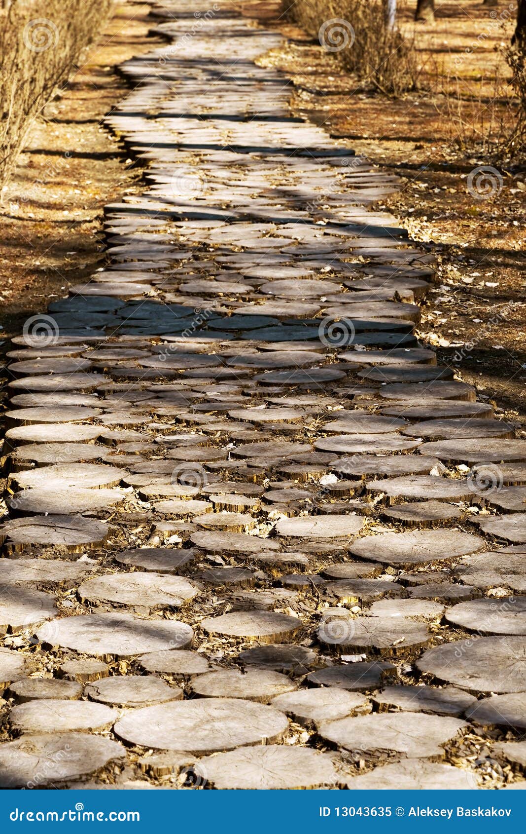Wood road in the park stock image. Image of road, walking - 13043635