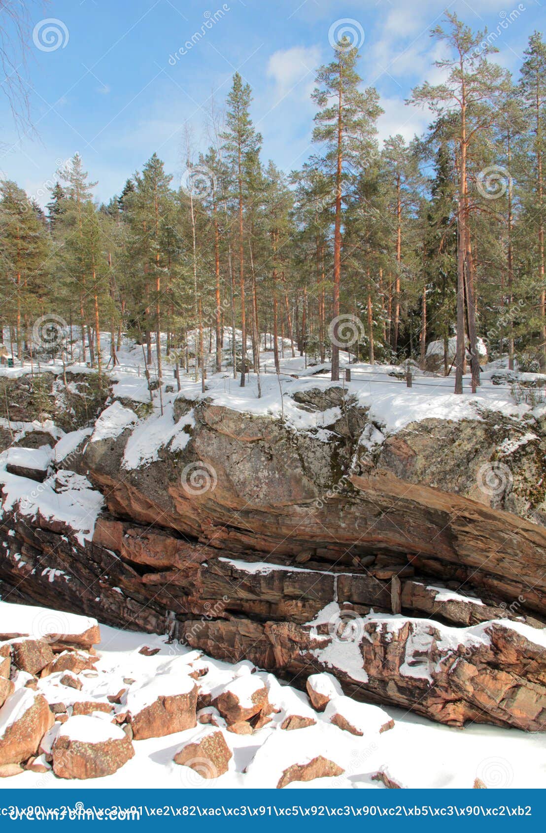 Wood and rock stock image. Image of grove, thicket, nature - 30428945