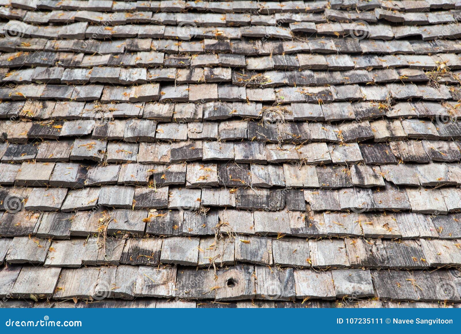 Wood Roofing Texture Background Stock Image | CartoonDealer.com #126265459