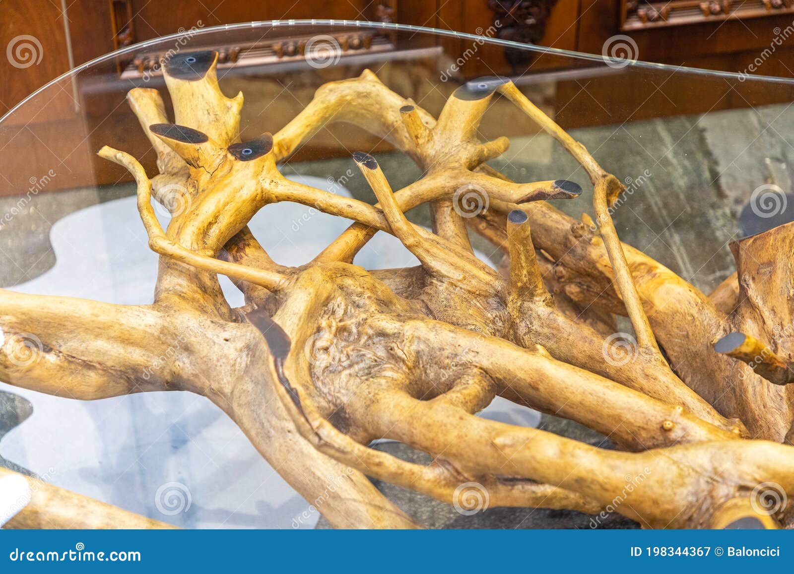 Wood Root Coffee Table stock image. Image of wooden - 198344367