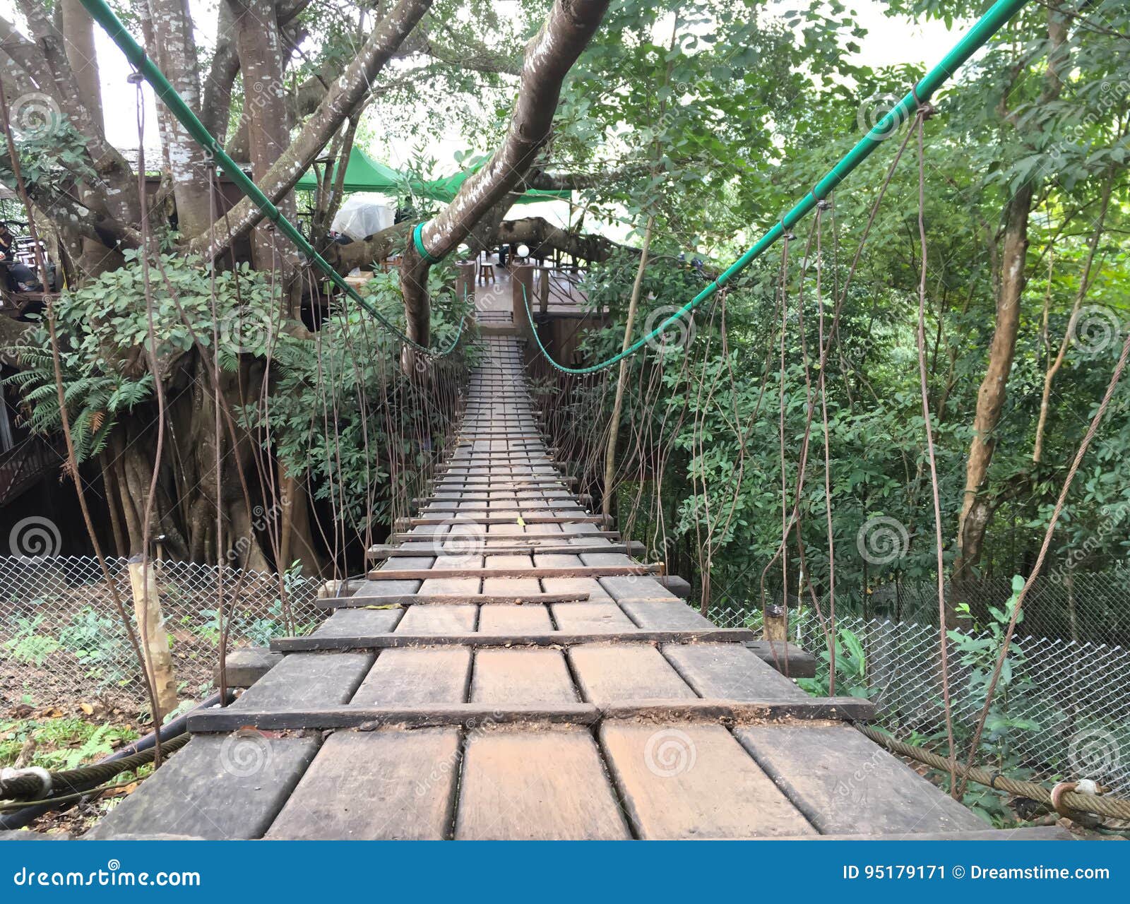 Wood rope bridge stock image. Image of rope, green, construction - 95179171