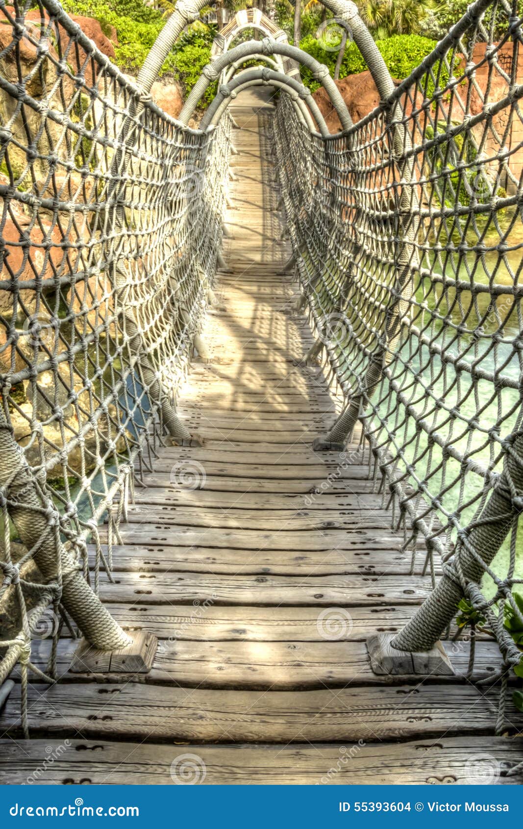 Wood and rope bridge stock photo. Image of outdoor, nature - 55393604