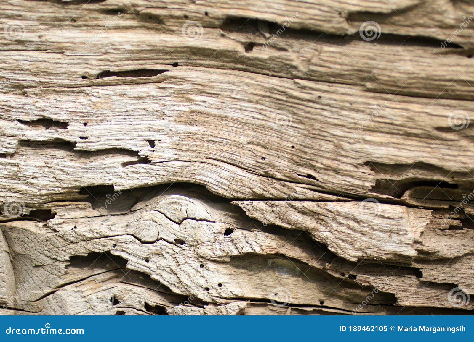 Wood Rustic Texture Background. Old Wooden Wall Texture Background ...