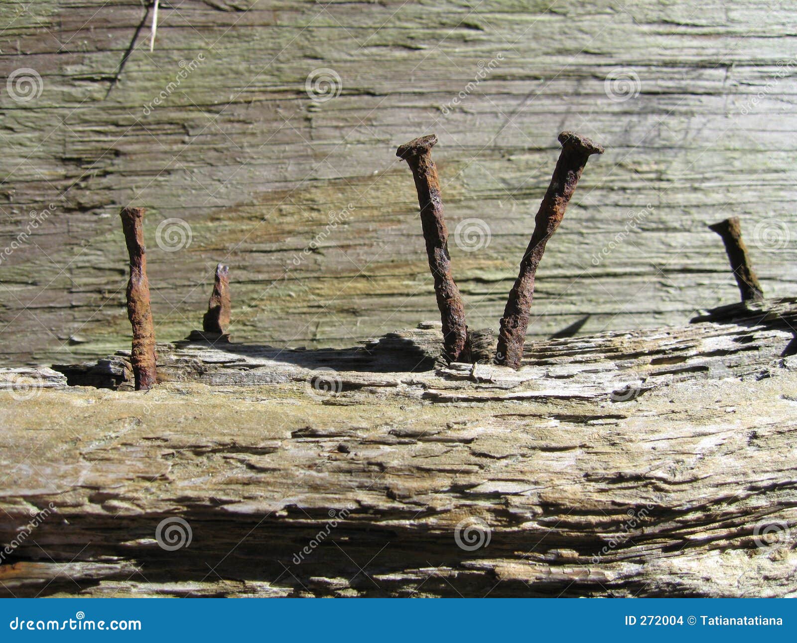 Wood and Rusty nails stock photo. Image of broke, front - 272004