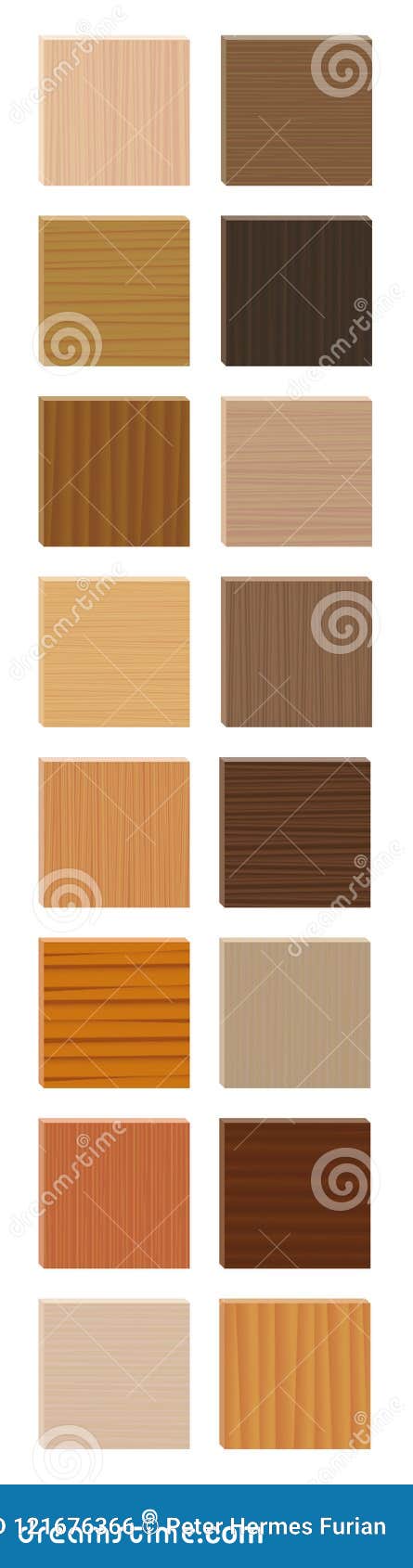 Wood Samples Parquetry Summary Table Chart Stock Vector - Illustration ...
