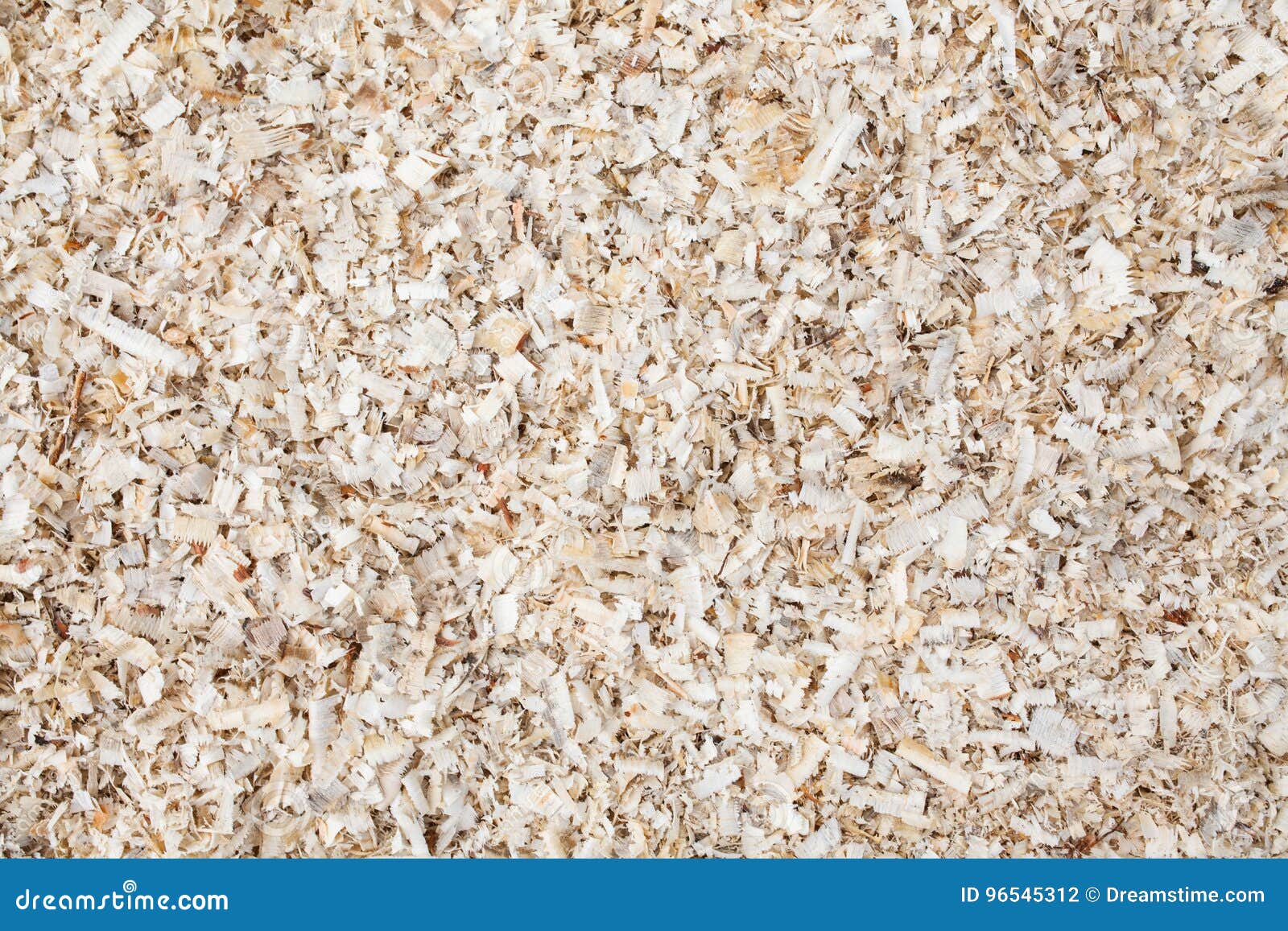 Wood sawdust stock photo. Image of hand, backgrounds - 96545312