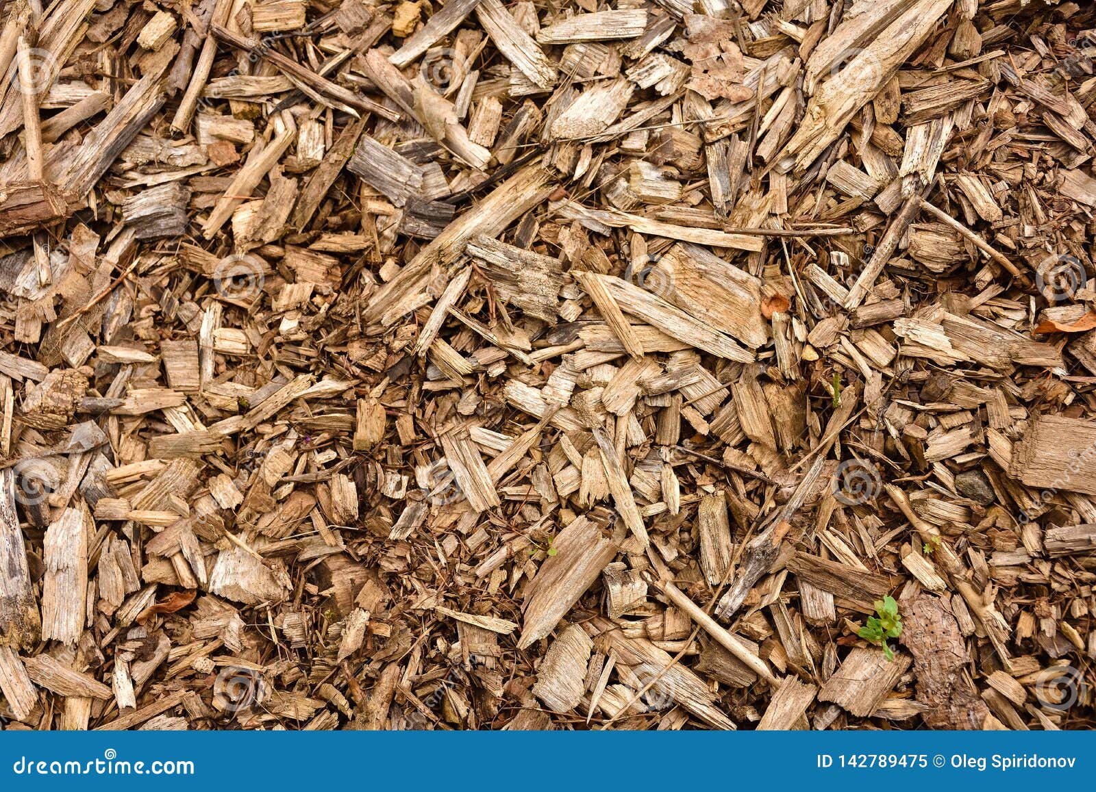 Wood sawdust stock image. Image of lumber, natural, abstract - 142789475