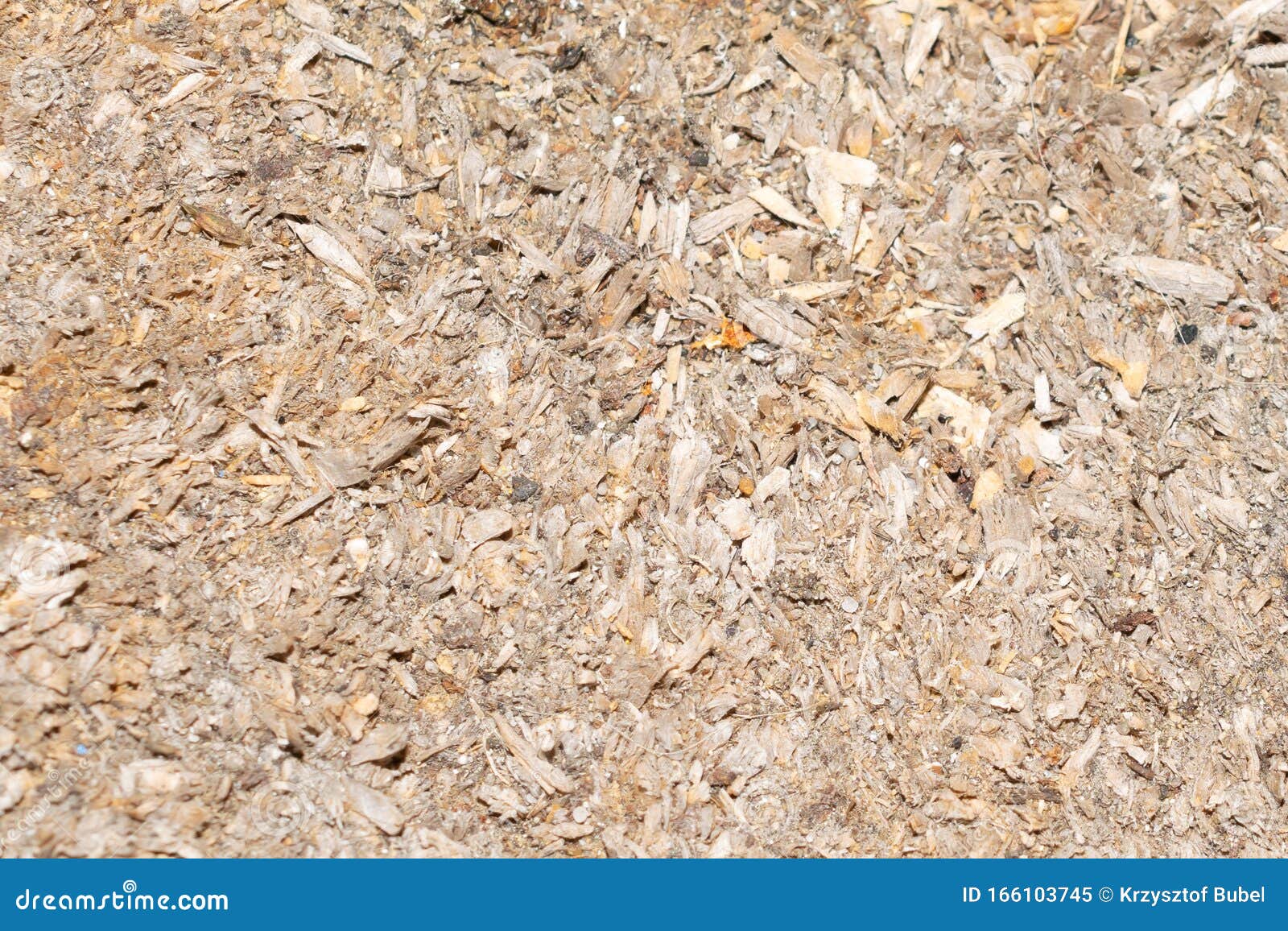 Wood Sawdust Texture or Background Stock Image - Image of material ...