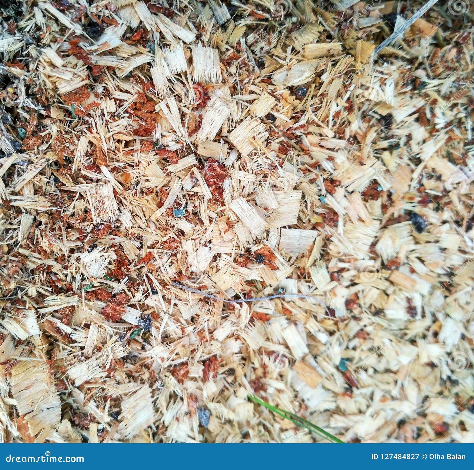 Wood sawdust texture stock image. Image of surface, macro - 127484827