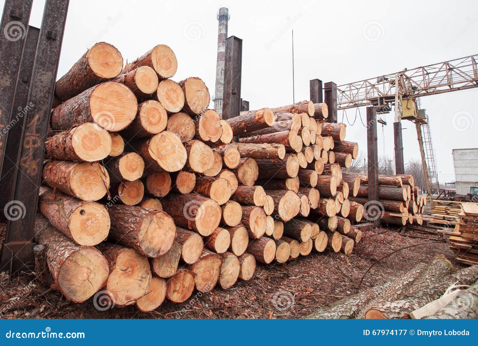 Wood sawmill log stock image. Image of harvesting, beech - 67974177