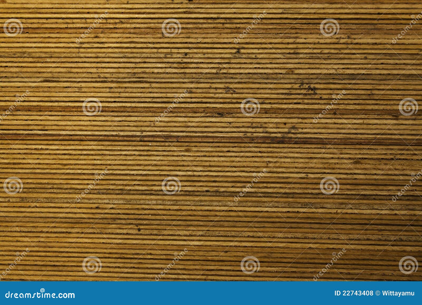 The wood section stock photo. Image of flat, dried, crop - 22743408