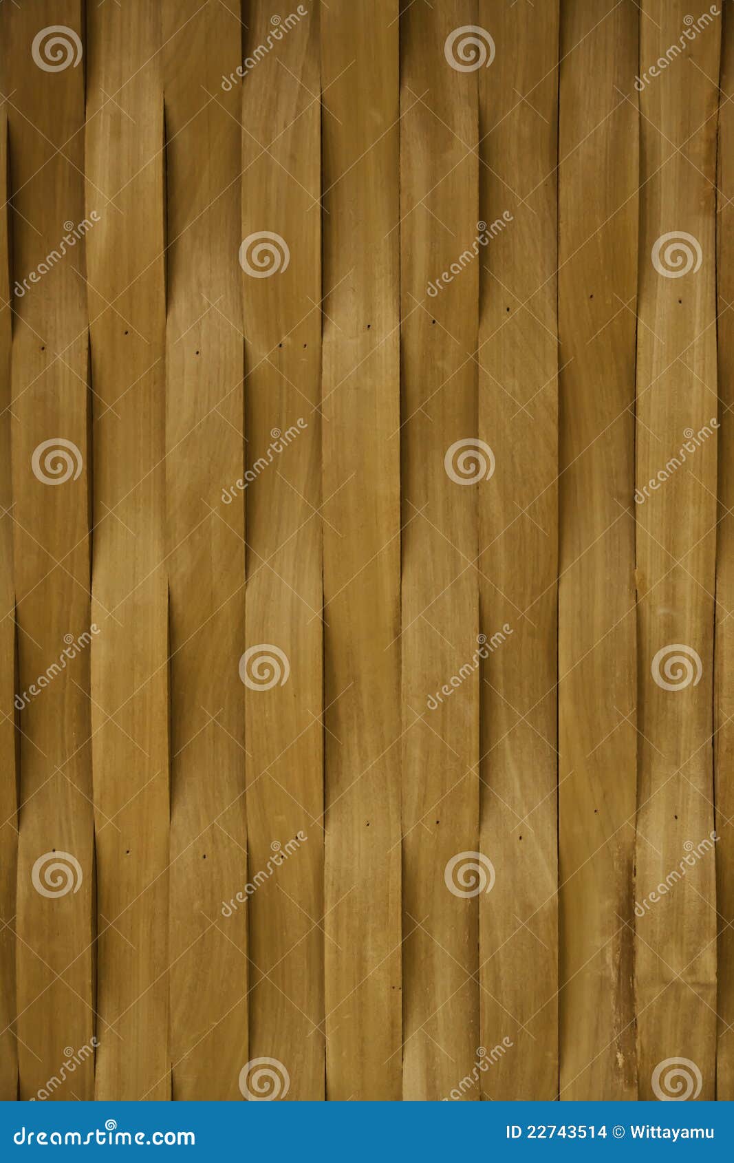 The wood section stock photo. Image of repetition, fiber - 22743514