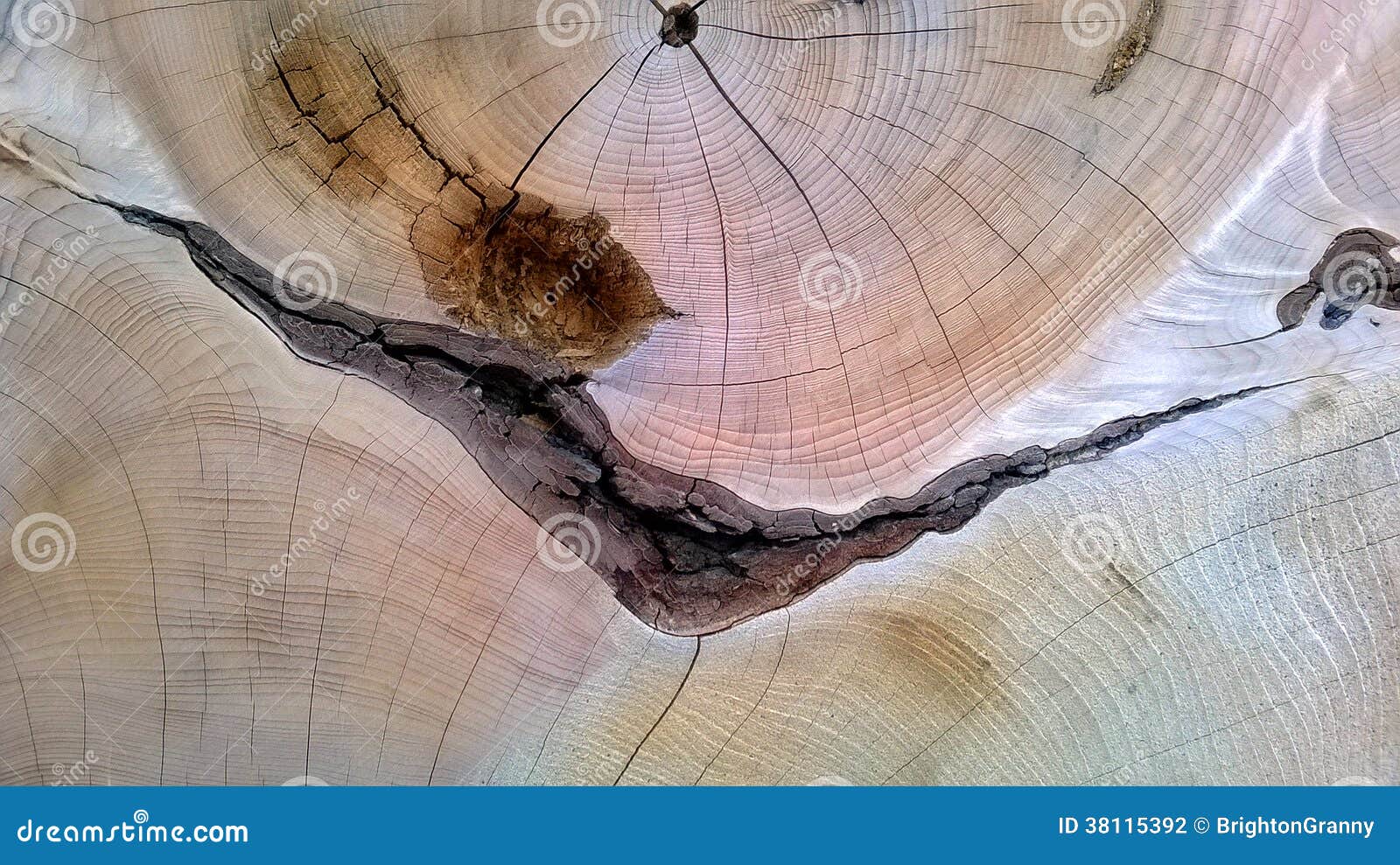 Wood section stock photo. Image of closely, surface, texture - 38115392