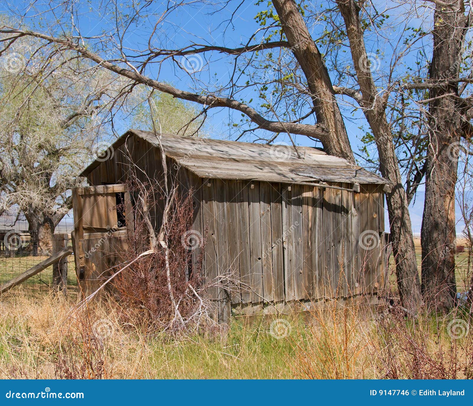 Wood Shack stock photo. Image of bleached, ranch, weathered - 9147746