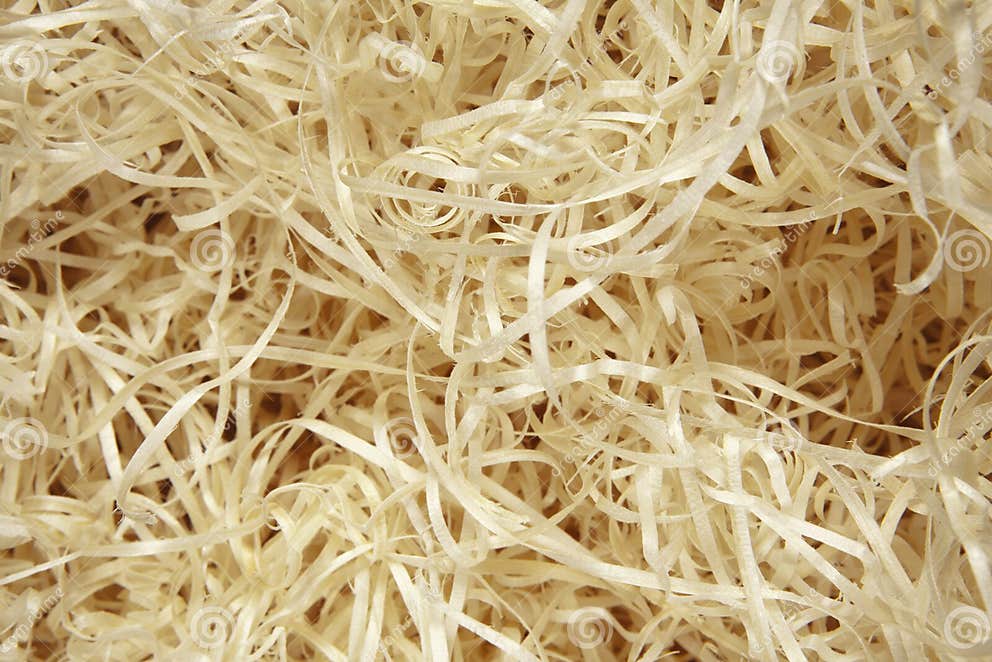 Wood shaving stock image. Image of detail, fiber, bark - 19241737