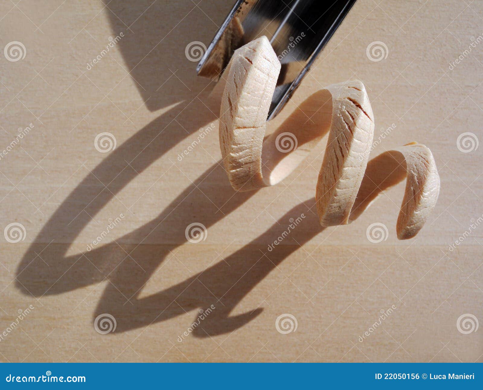 Wood shaving s shadow stock photo. Image of craft, plank - 22050156
