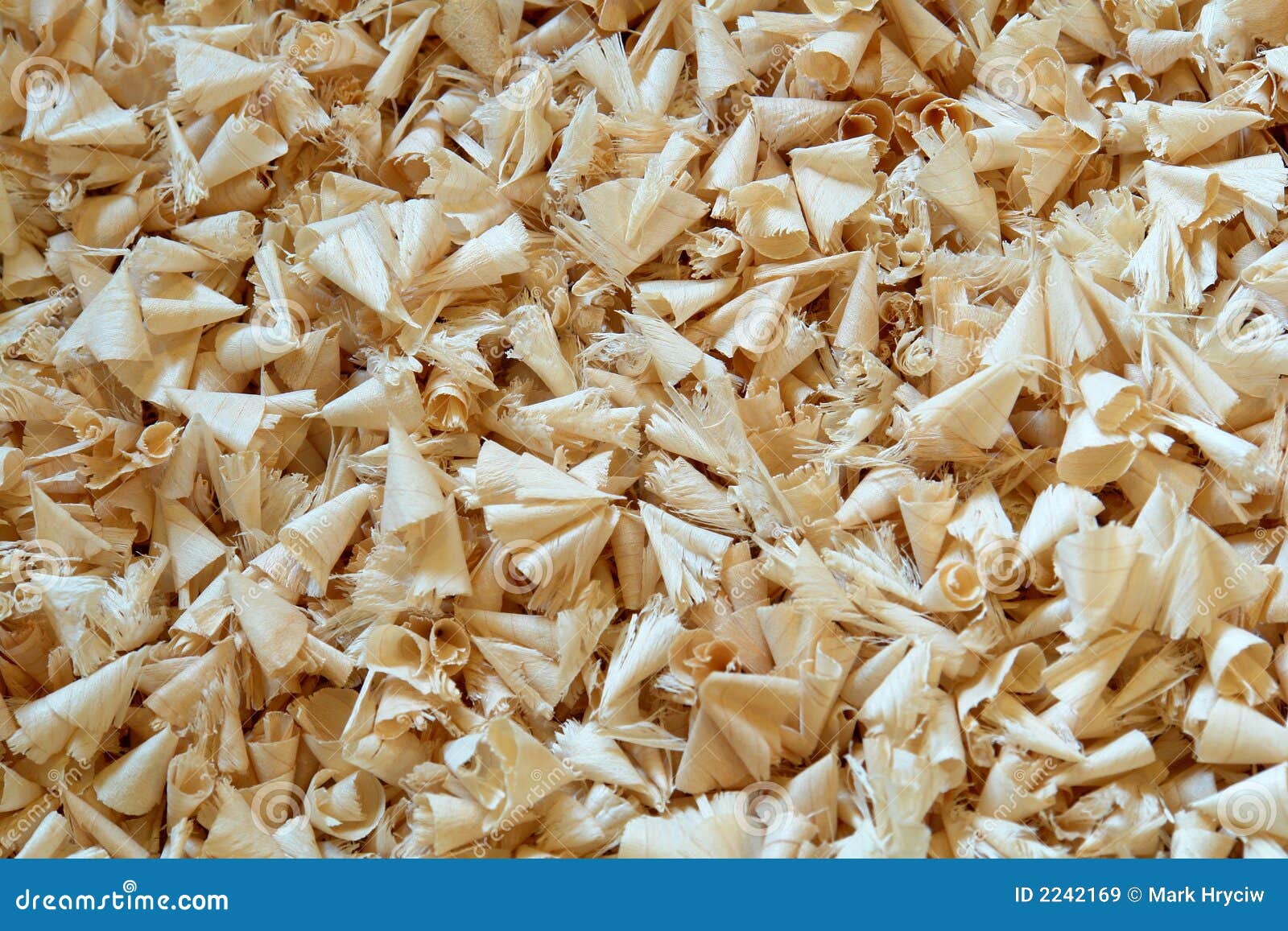 Wood Shavings stock image. Image of fresh, unique, soft - 2242169