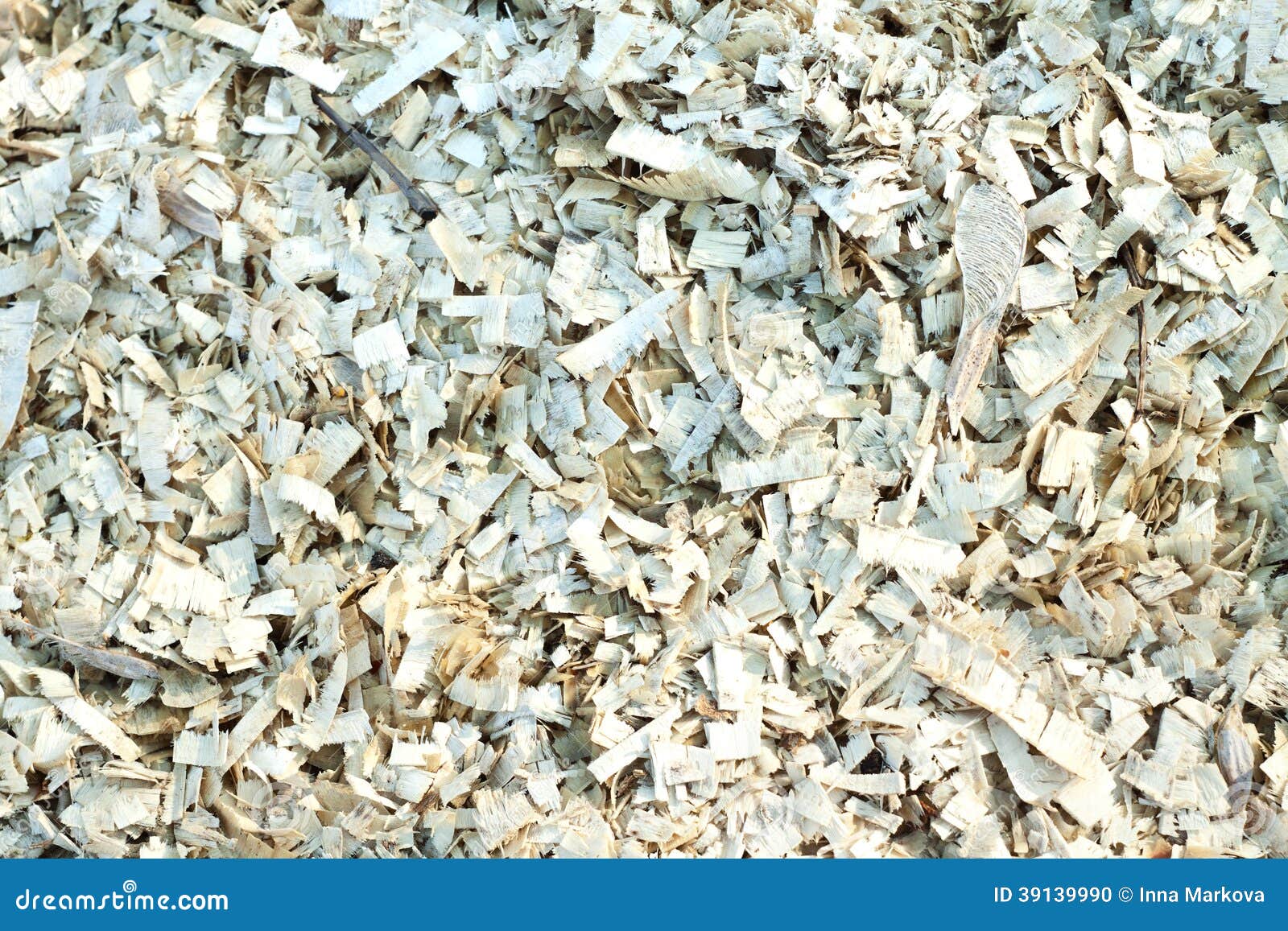 Echip Stock Photos - Free & Royalty-Free Stock Photos from Dreamstime