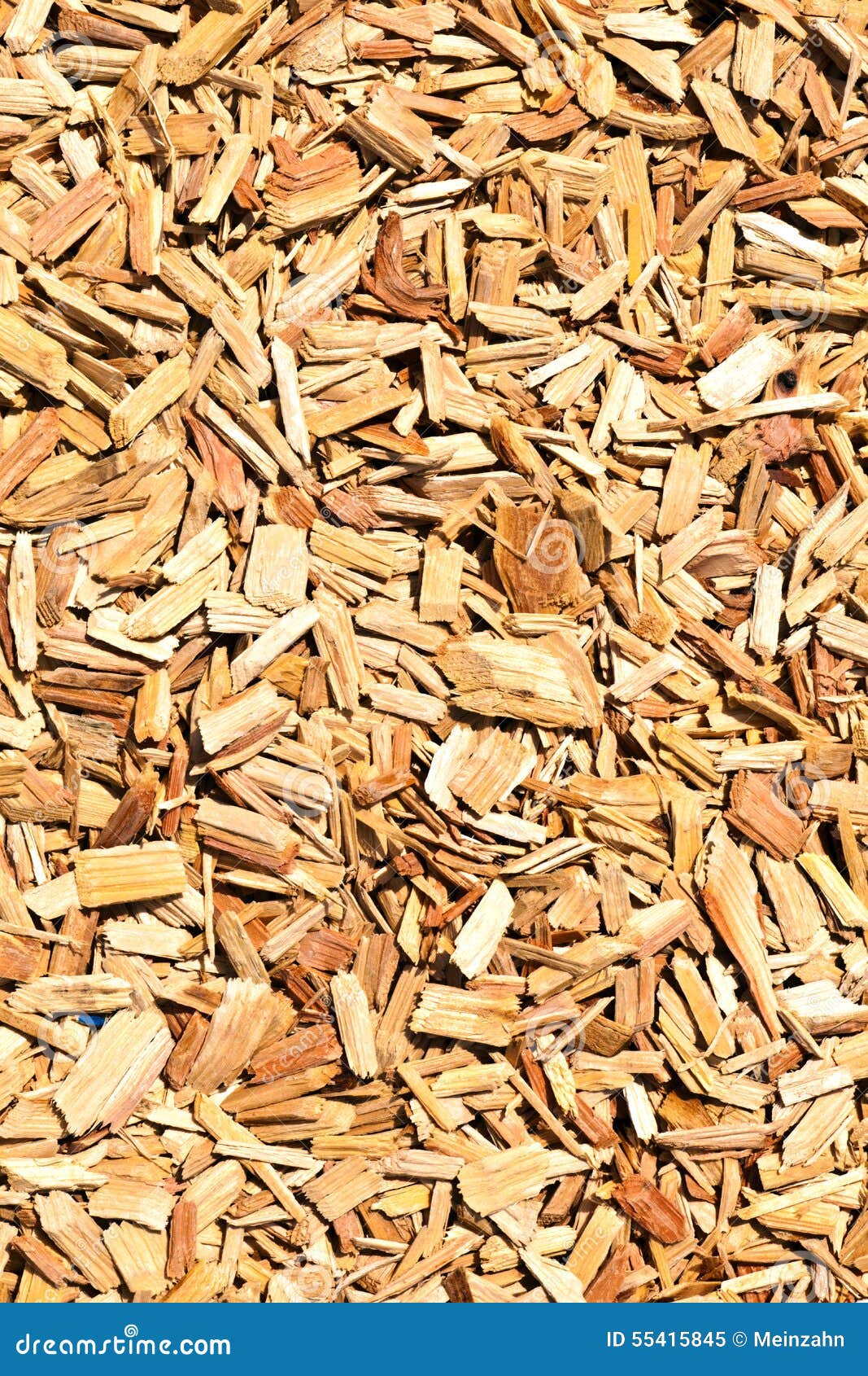 Wood shavings stock image. Image of nature, outdoors - 55415845