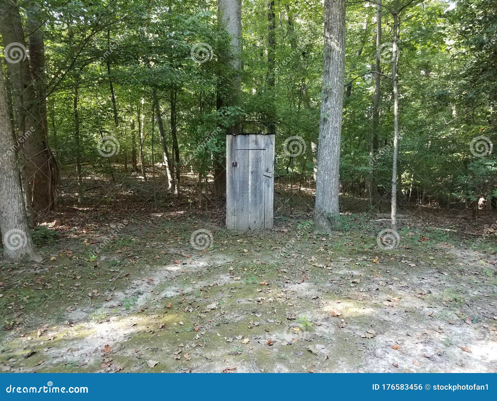 Wood Shed or Outhouse in Forest or Woods with Trees Stock Photo - Image ...