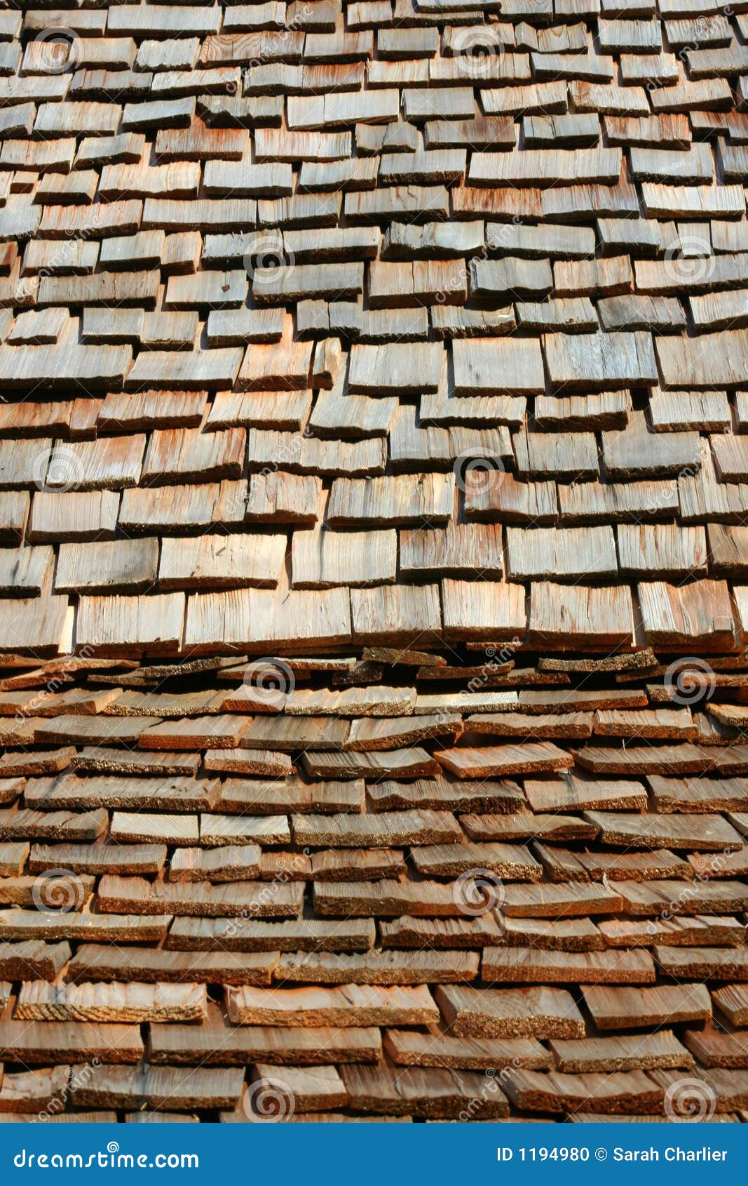 Wood Shingled Roof stock photo. Image of work, cabin, roof - 1194980