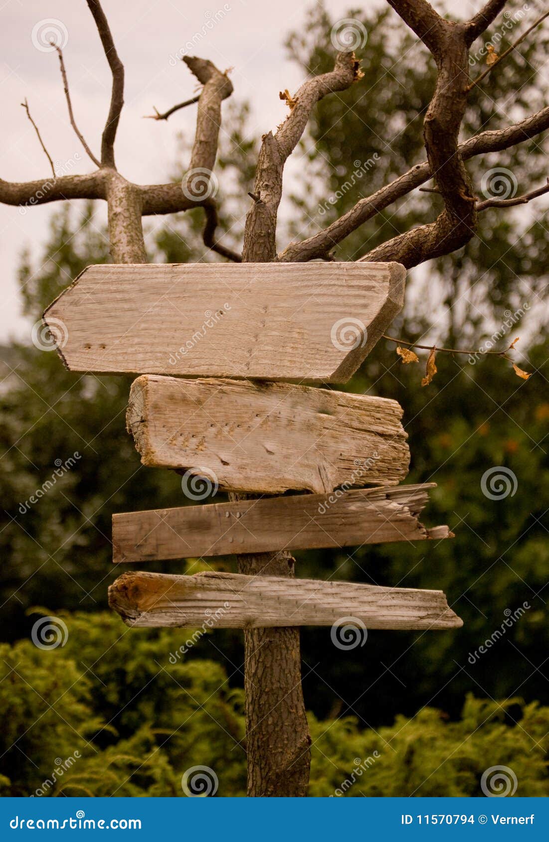 4,234 Wood Point Sign Stock Photos - Free & Royalty-Free Stock Photos ...