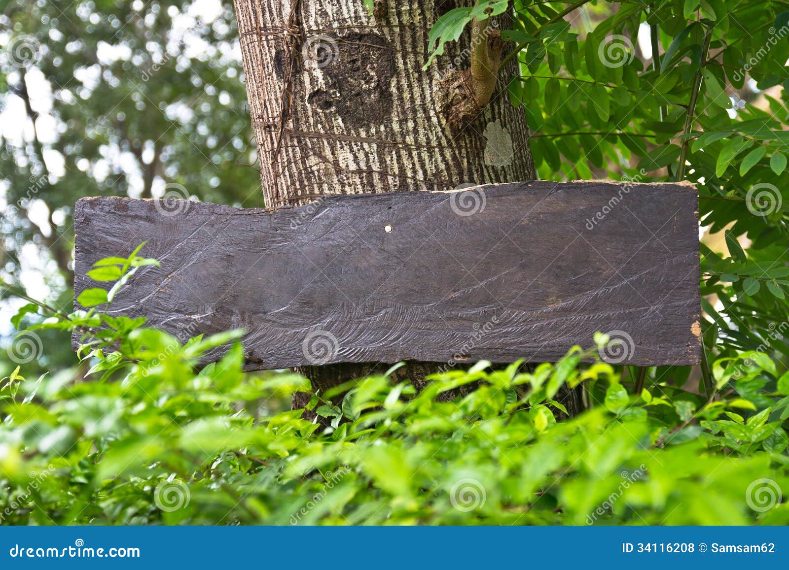 Wood sign board stock photo. Image of nature, decoration - 34116208