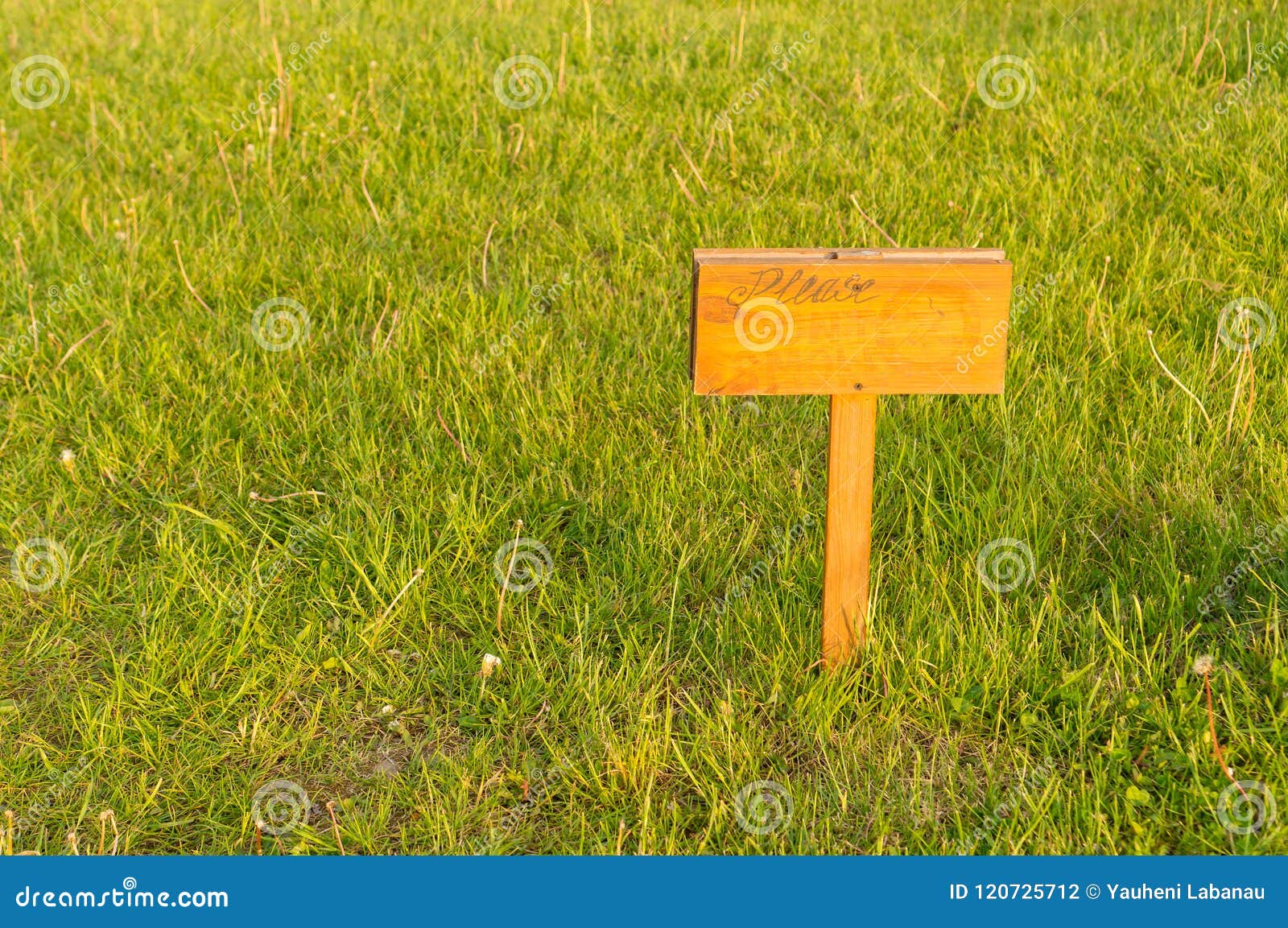 Wood sign in the grass stock photo. Image of water, mockup - 120725712