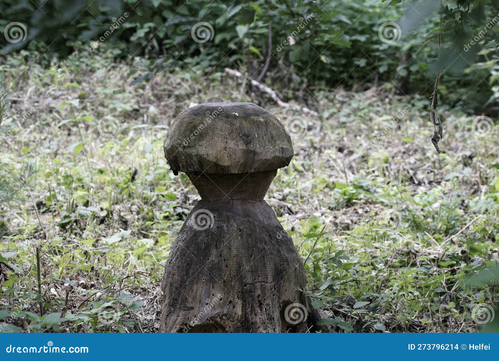 Wood in Skeleton Construction Carpenter or Carpenter Work from Wooden ...