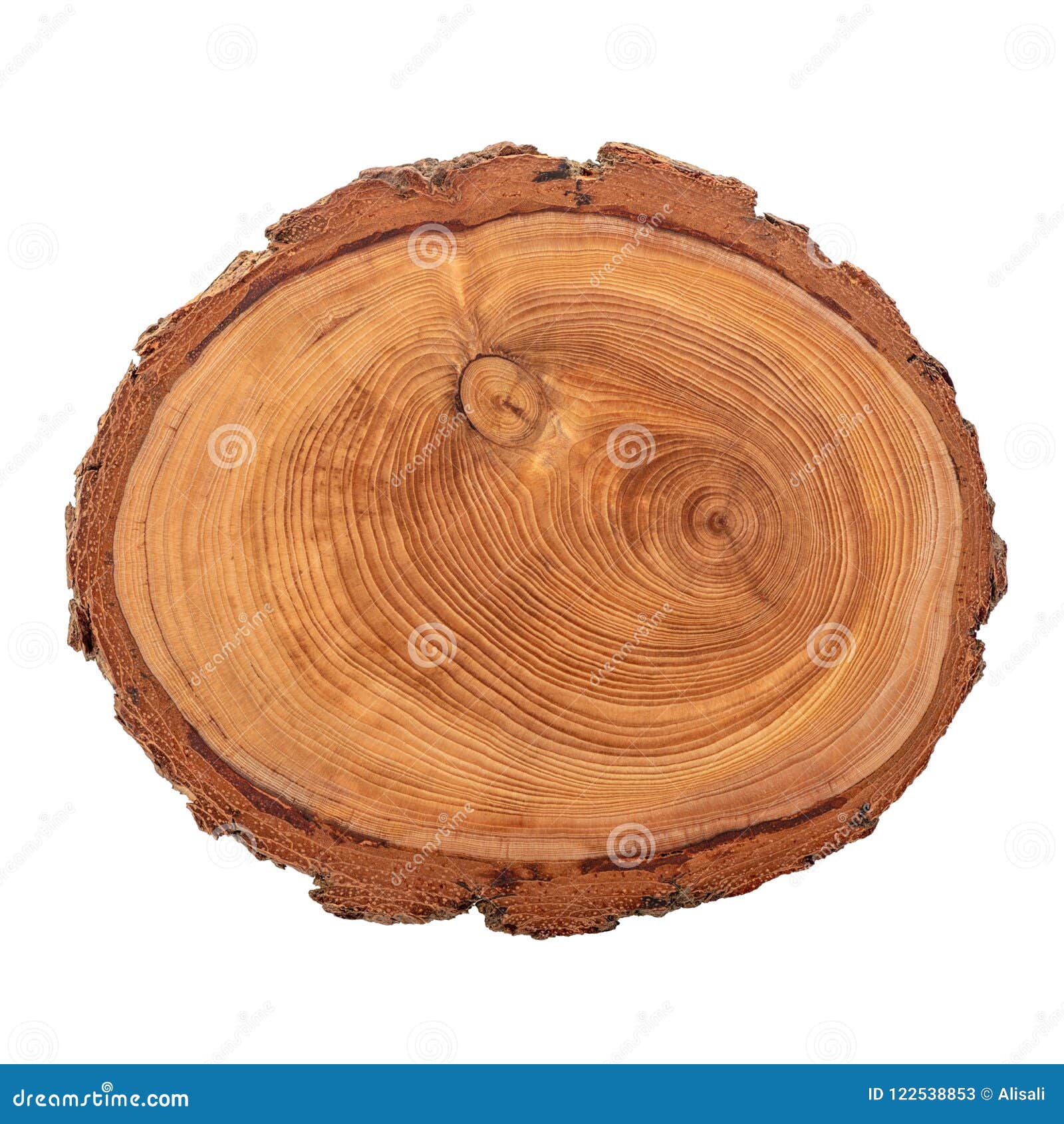 Juniper Texture Cut Wood Isolated White Stock Photos - Free & Royalty ...