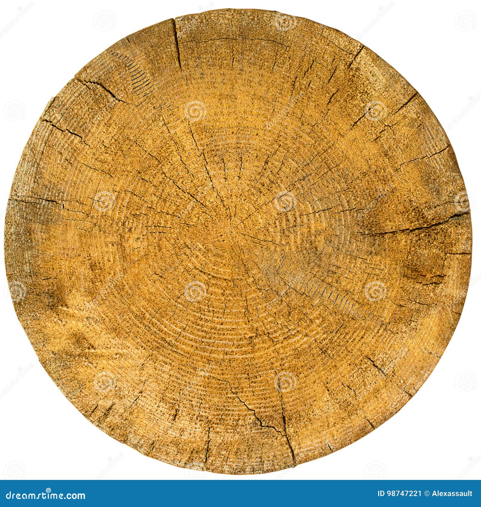 Wood Slice Texture Close Up Stock Image - Image of organic, surface ...