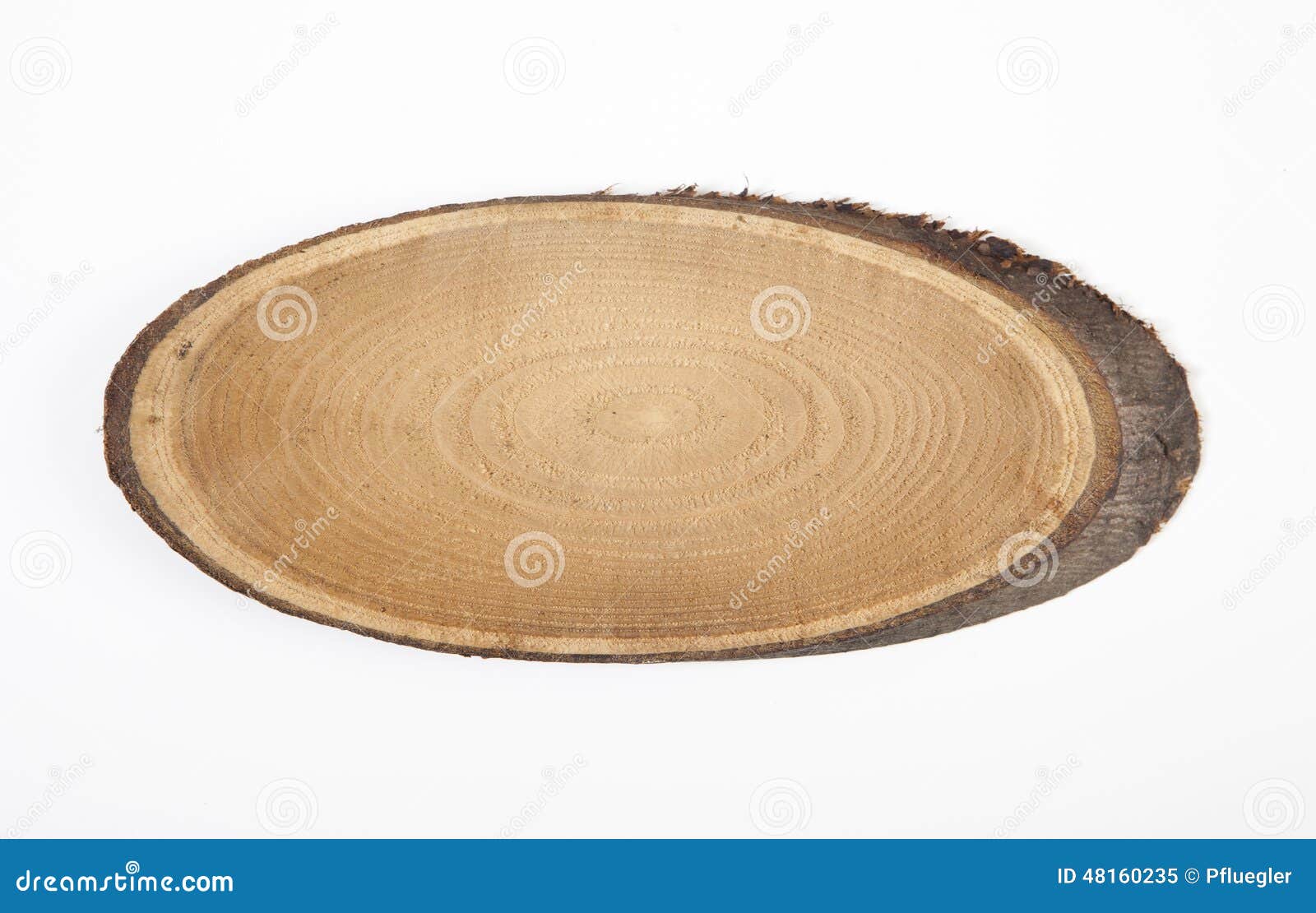 Wood slice stock image. Image of materials, wood, annual - 48160235