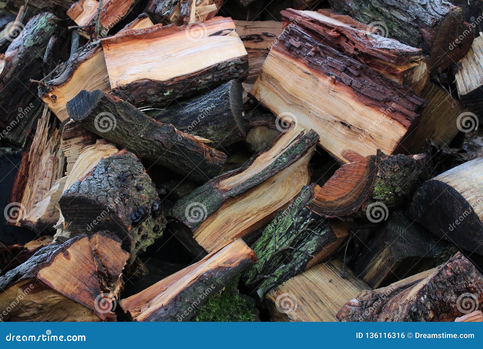 Wood Small pieces stock photo. Image of plant, gree - 136116316