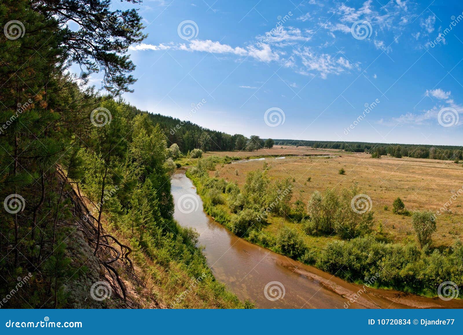 Wood Small River Near Plain Stock Photo - Image of rapid, forest: 10720834