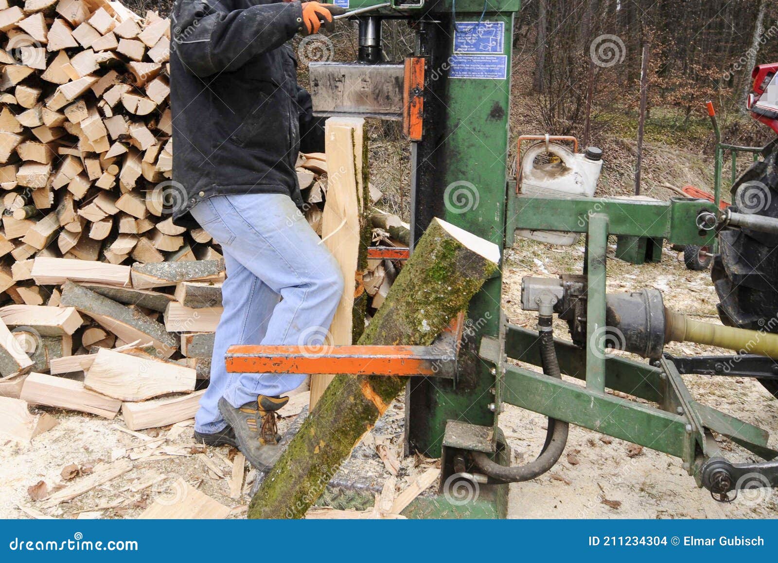 Wood Splitting in the Forest Stock Photo - Image of economy, market ...