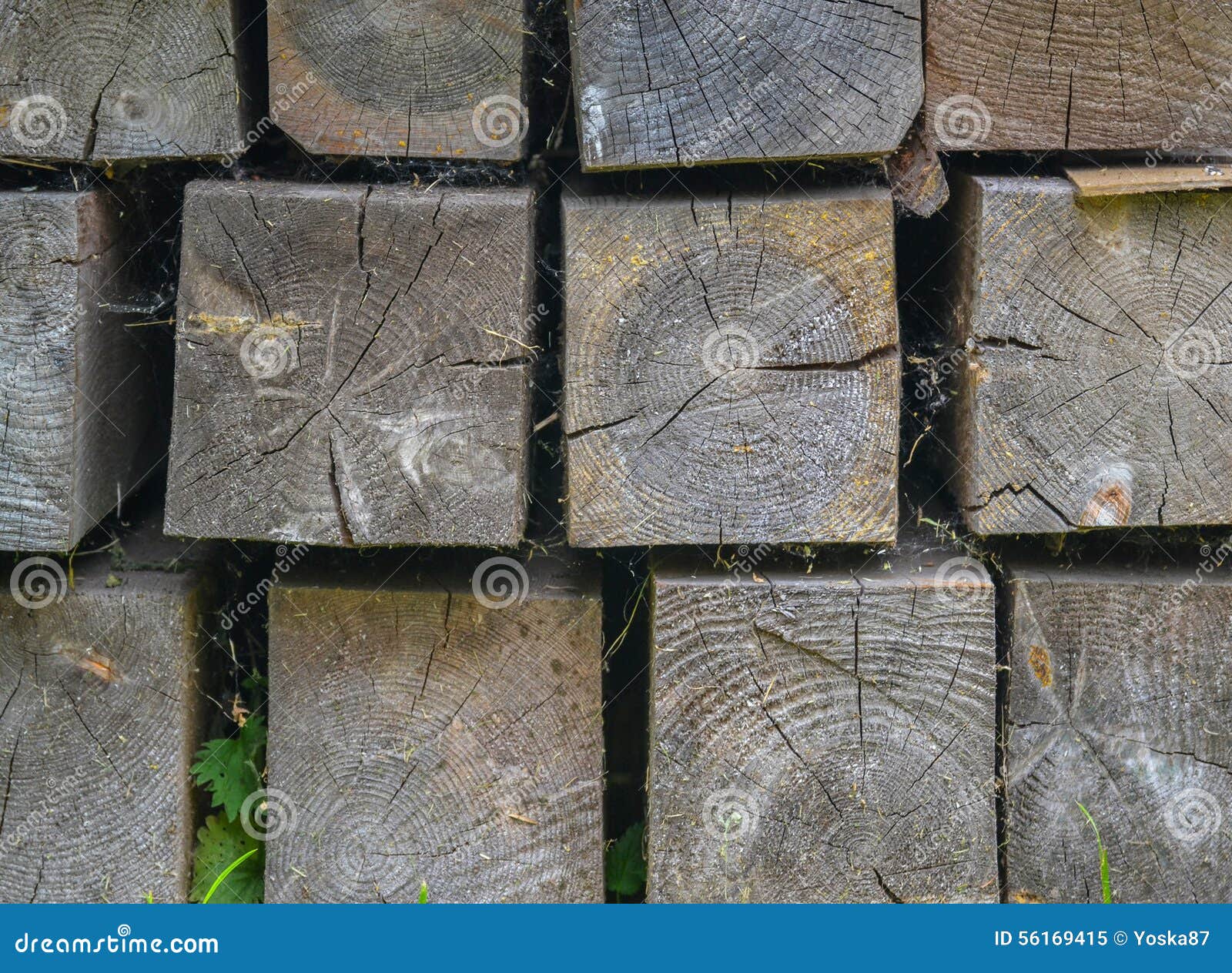 Wood, Wood Square, Wood Texture, Boards, Wood Frame, Wood Layers, Wood ...