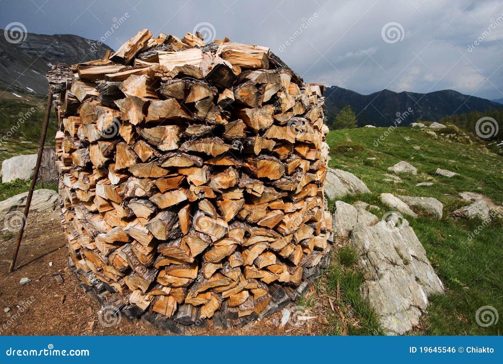 Wood stack stock photo. Image of bognanco, forest, chopped - 19645546